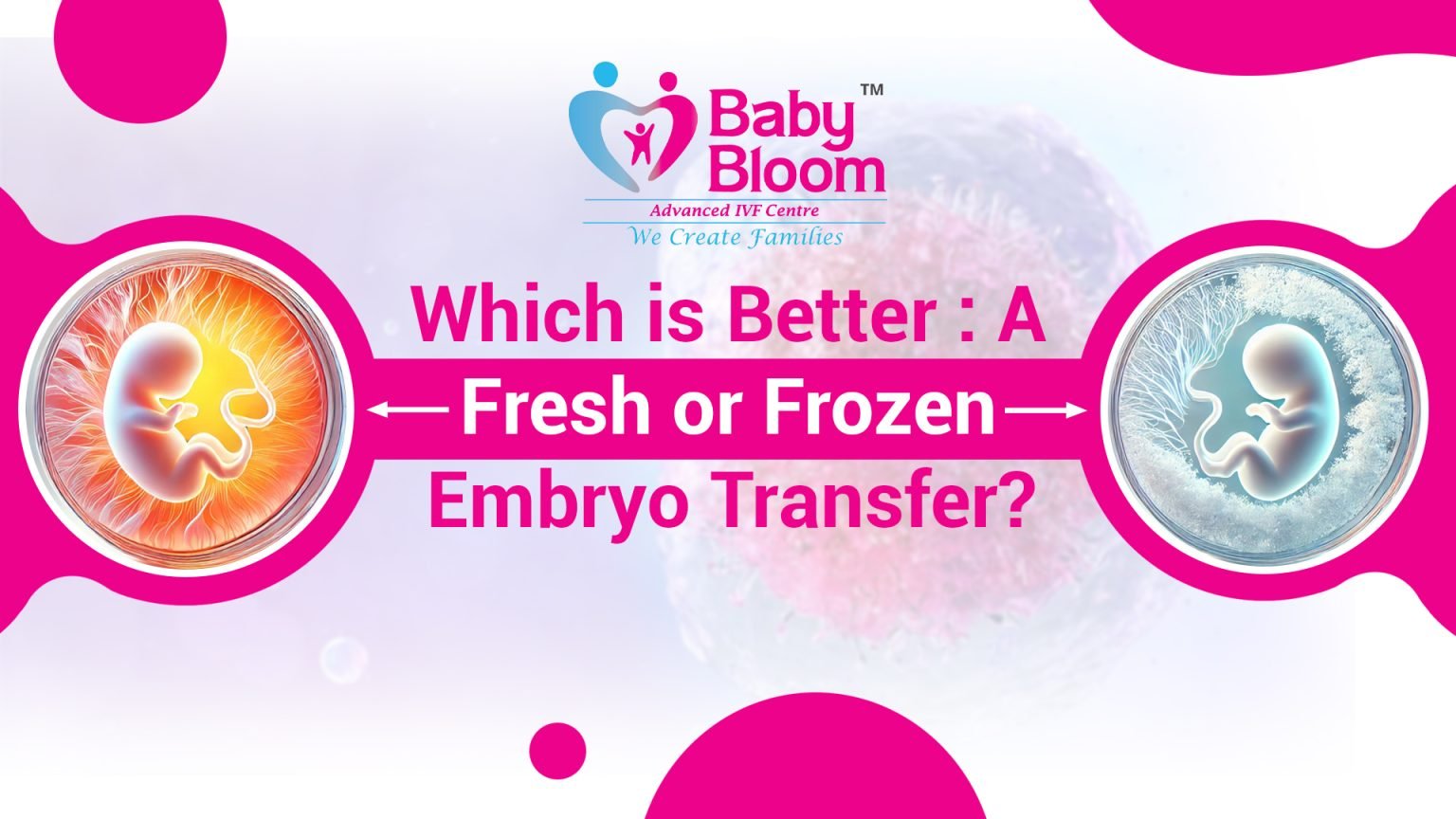 Which is Better A Fresh or Frozen Embryo Transfer? - BabyBloom IVF Gurgaon.
