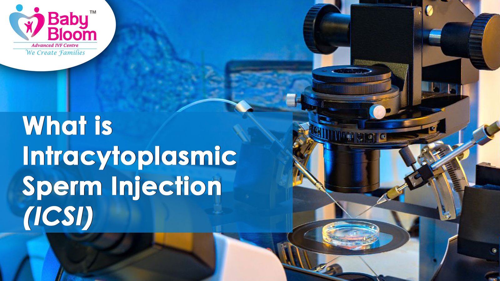 (ICSI) Intracytoplasmic Sperm Injection - BabyBloom IVF | Best IVF Centre.