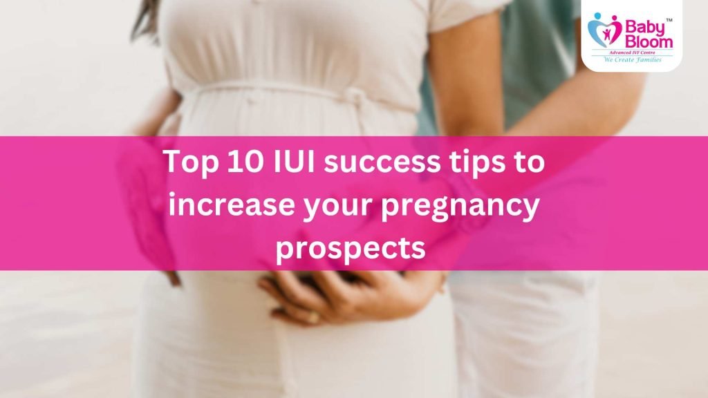 Top 10 IUI Success Tips for a Higher Pregnancy Success Rate - BabyBloom IVF