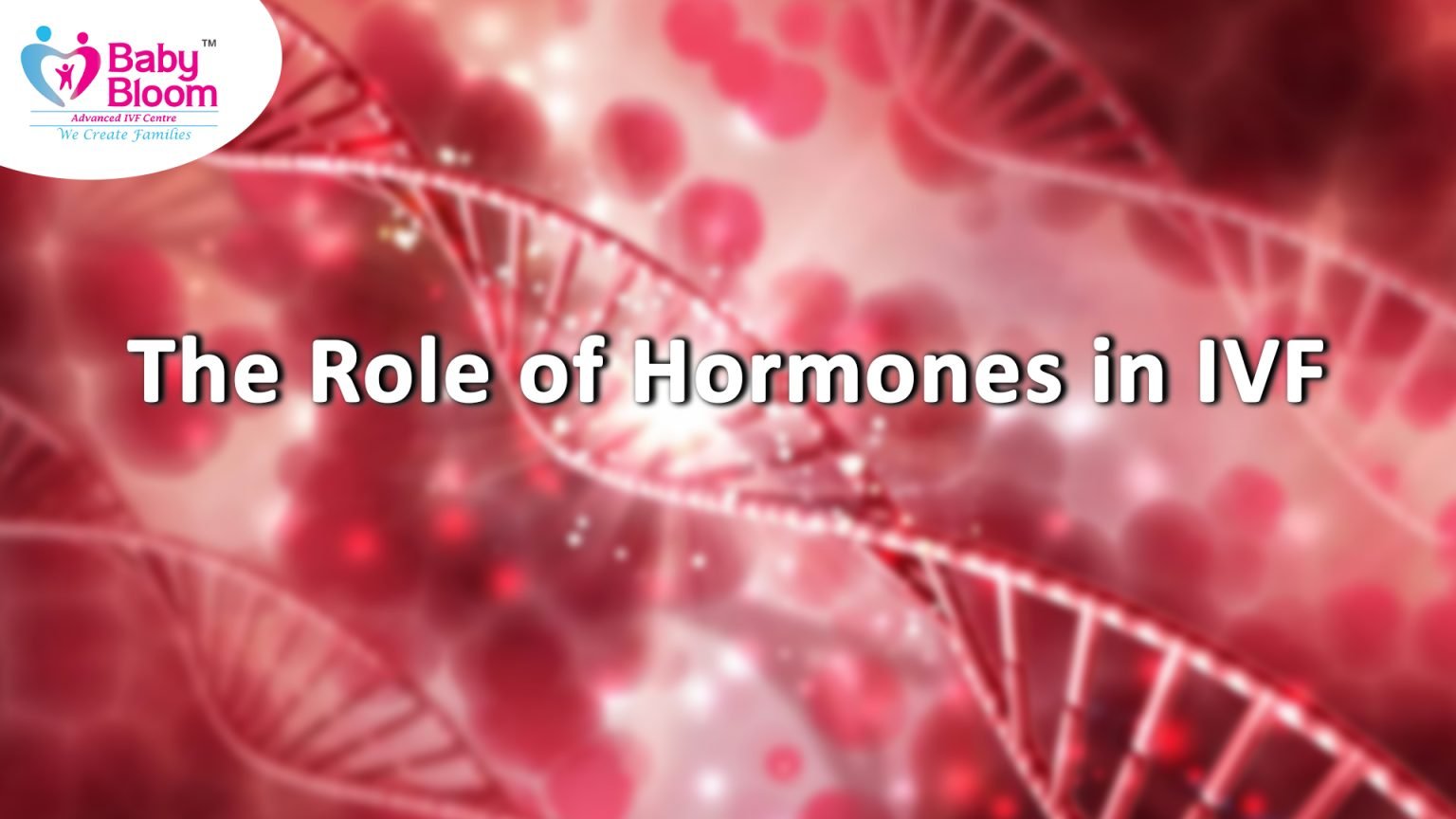 The Role of Hormones in IVF: How They Affect Fertility & Success ...